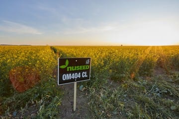 Meet the Industry Member: Nuseed - Pacific Northwest Canola Association