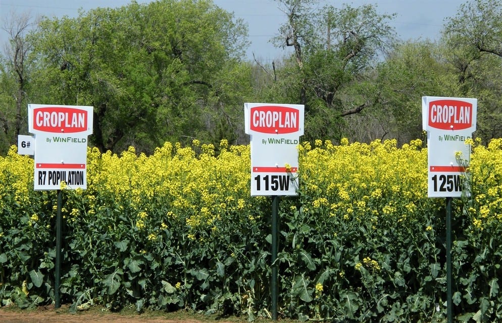 Meet the Industry Member: WinField United - Pacific Northwest Canola ...